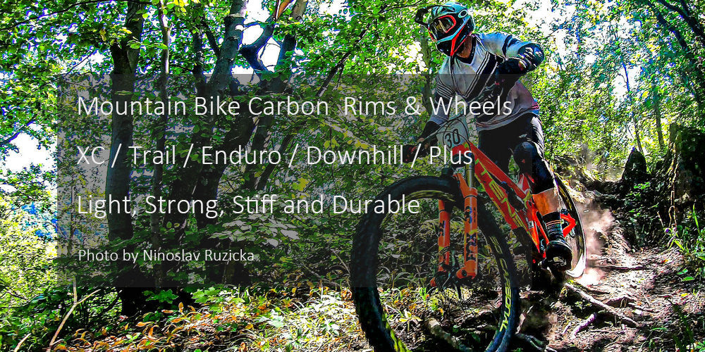 Carbon Rims & Wheels - 100% Customizable | Carbonal Bike